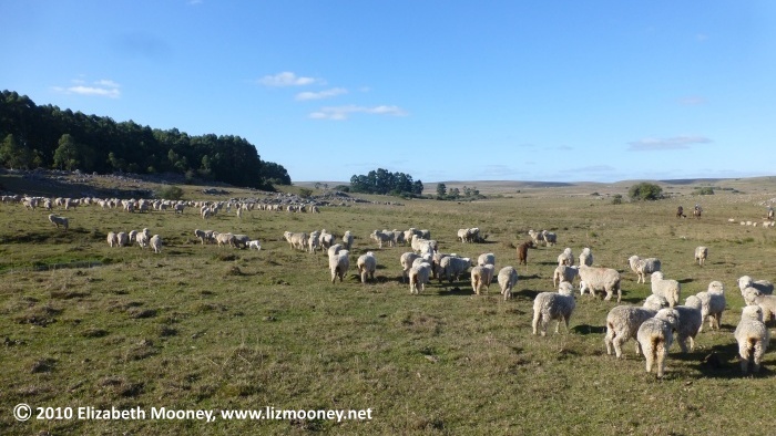 Uruguay – Elizabeth Mooney