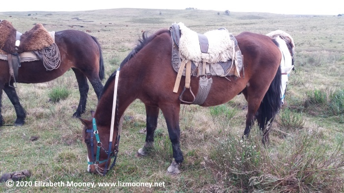 Uruguay – Elizabeth Mooney
